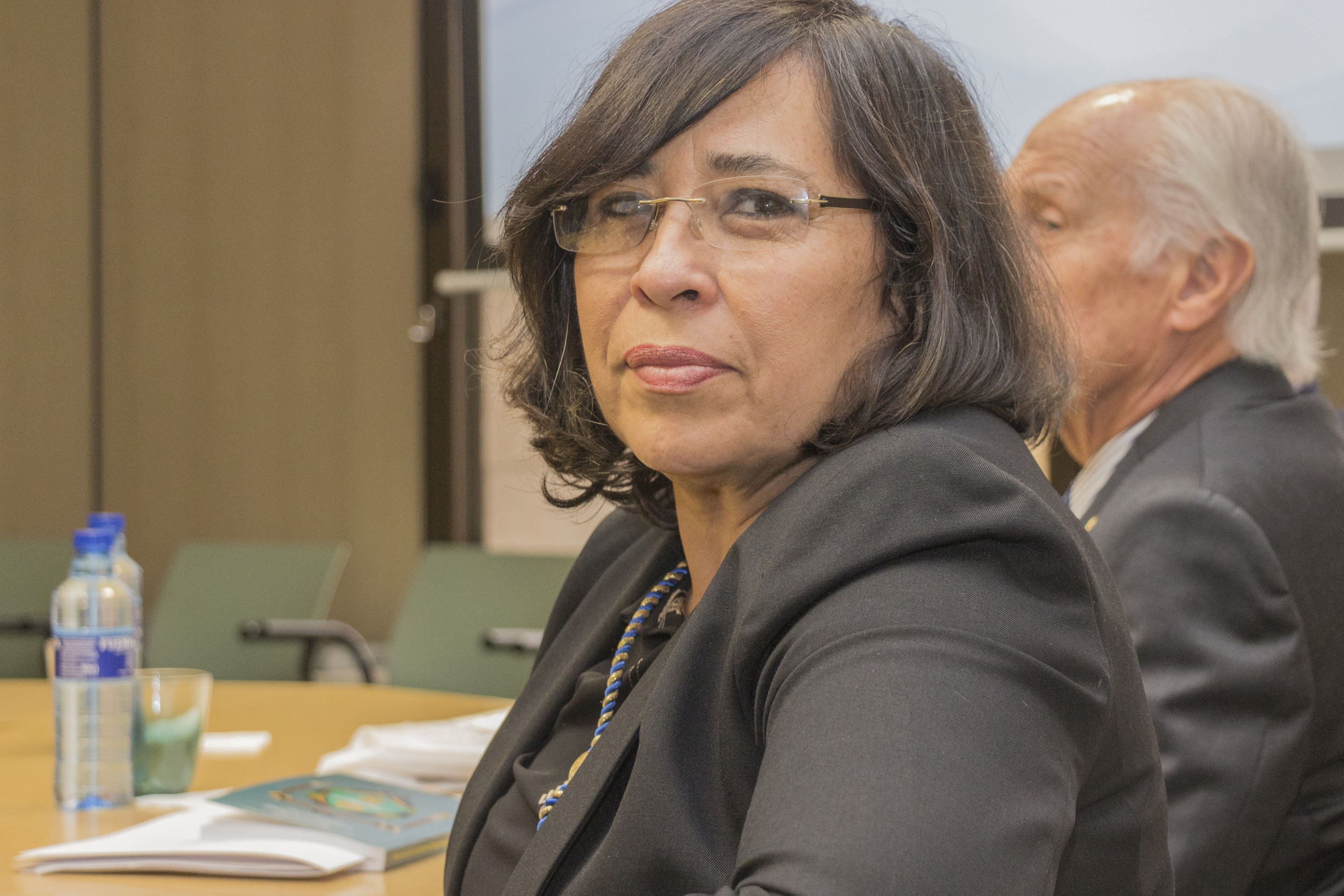 María Auxiliadora Rosales Solís | Académico | Asociación de Academias ...